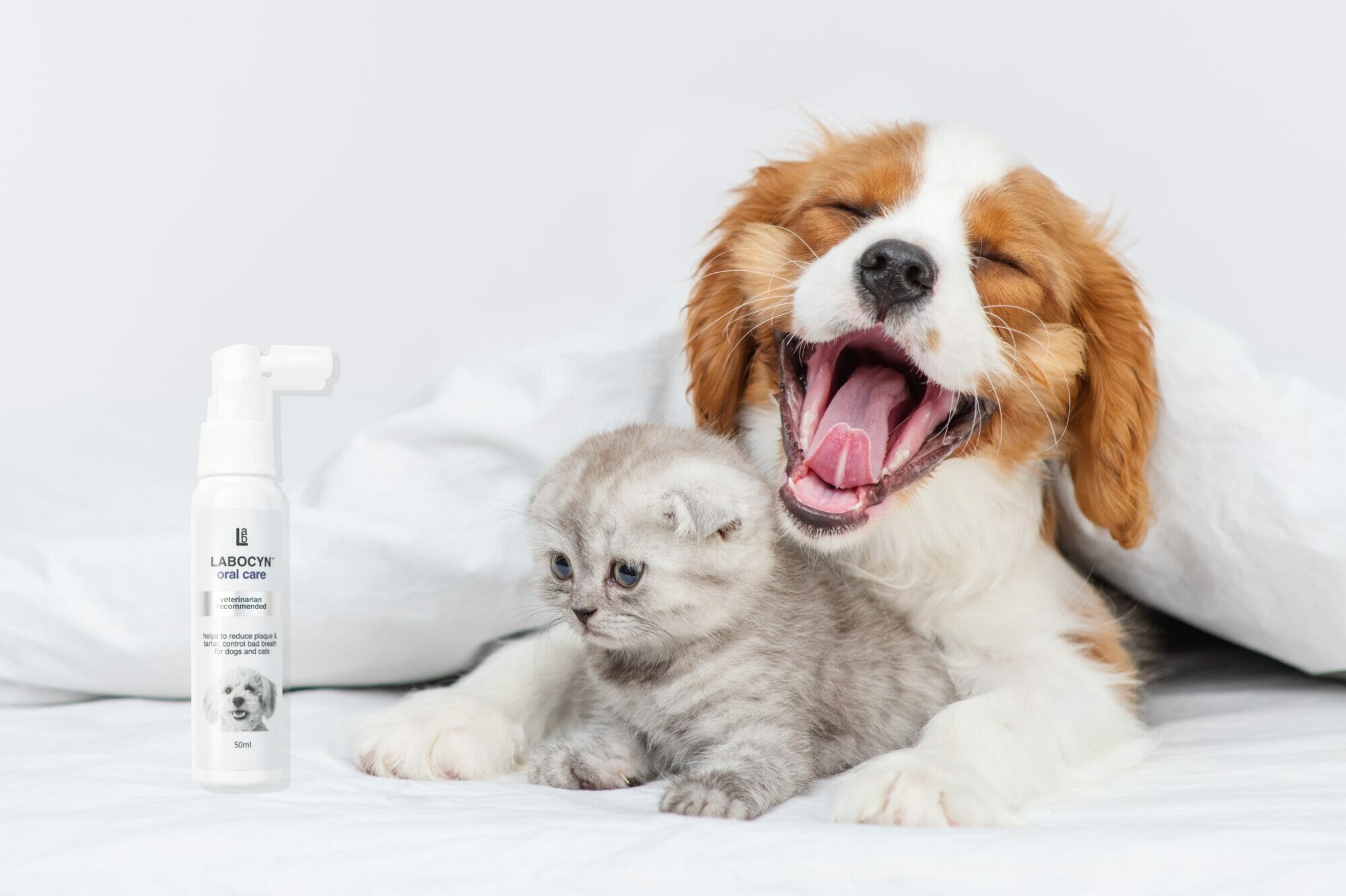 Oral Care - Labocyn